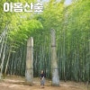 부산 기장철마여행 아홉산숲 주차 입장료 부산근교 숲산책 영화드라마촬영지 네이버 블로그